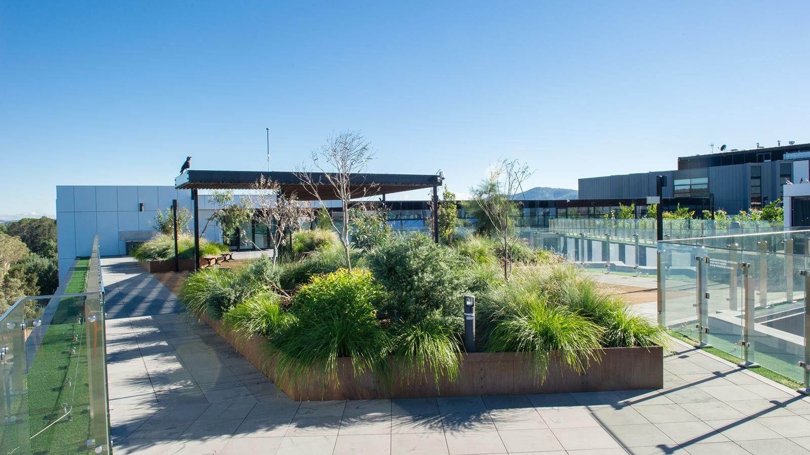 Spring Mingle 2019 - Conservation Council ACT Region